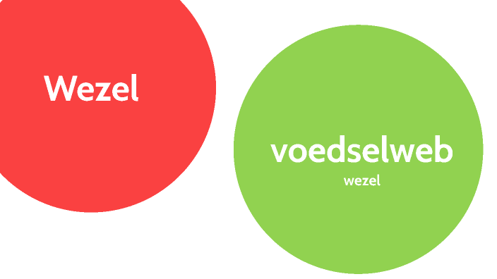 De wezel by Oskar Berckmoes on Prezi