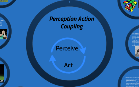 Perception Action Coupling by Marissa Cumming on Prezi