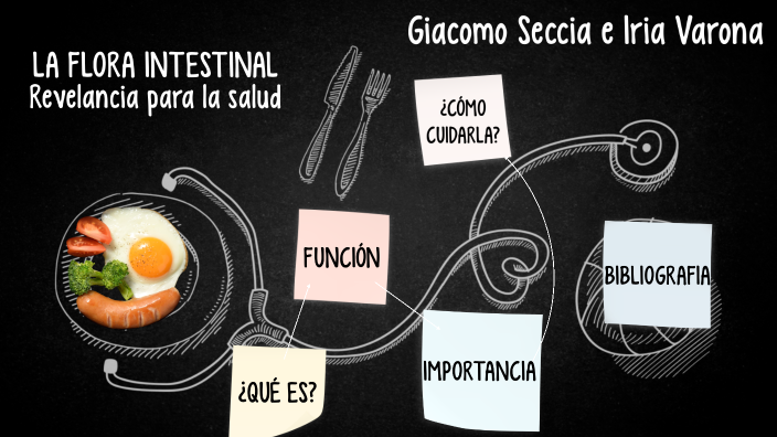 La flora intestinal by on Prezi