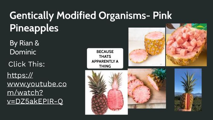 Pink Pineapple by Rian Bielak on Prezi