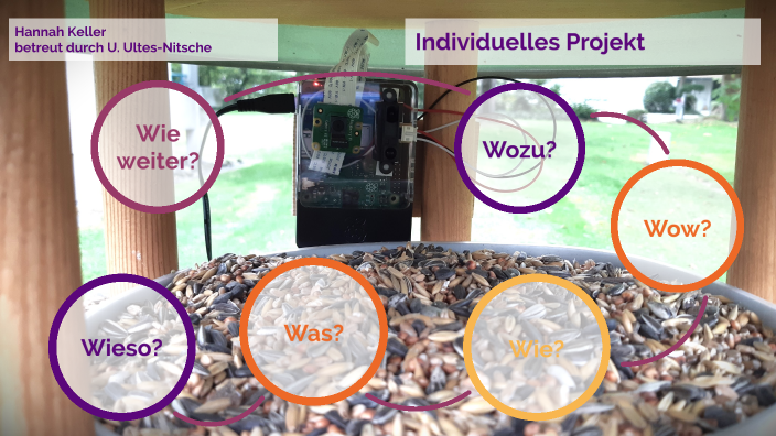 Projektarbeit by Hannah Hutter on Prezi