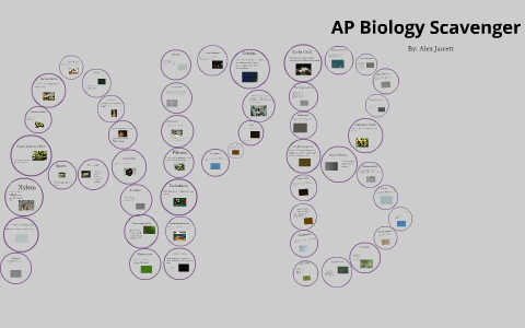 AP Biology Scavenger Summer Assignment by Alex Jarrett on Prezi