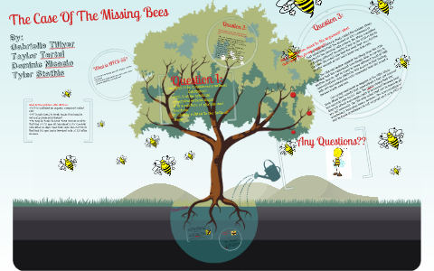 The Case Of The Missing Bees by Gabrielle Tillyer on Prezi