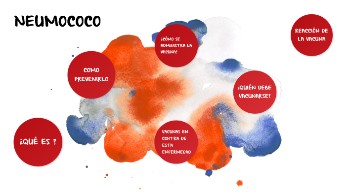 NEUMOCOCO by Jimena Mejias vigo on Prezi