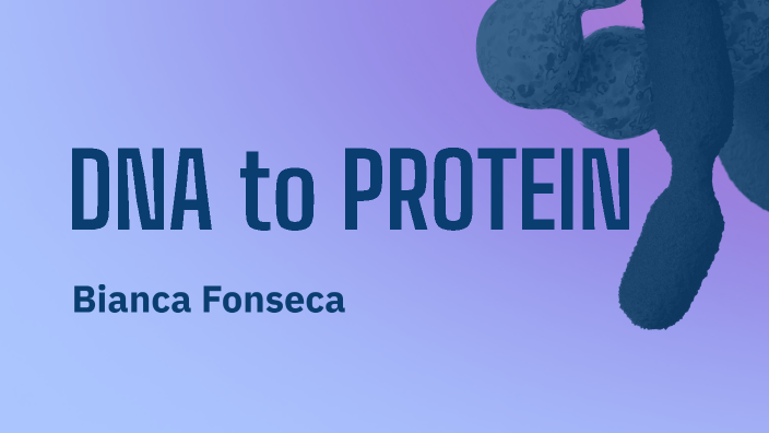 DNA to protein themes in bio by Bianca Fonseca on Prezi