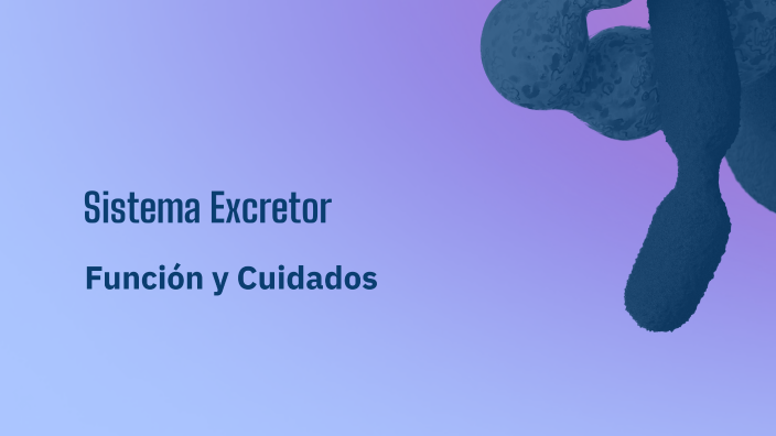 Sistema Excretor y Glándulas Sudoríparas by Roberto Avilés on Prezi