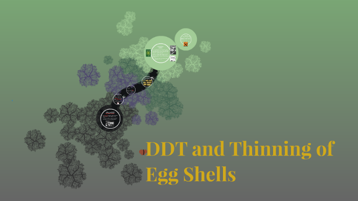 DDT and Thinning of Egg Shells by stephanie Ayala on Prezi