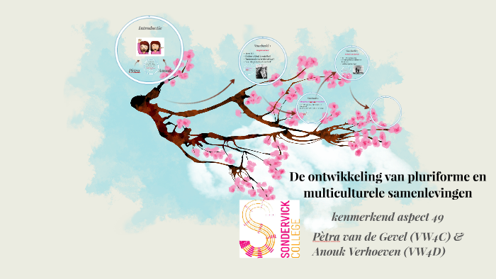 De ontwikkeling van pluriforme en multiculturele samenleving by Petra ...