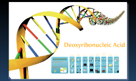 Biology: DNA by Paul Epps on Prezi