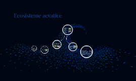 Ecosistemul unei ape curgatoare by Ana Antemir on Prezi