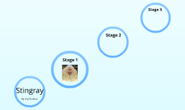 The Life cycle of a stingray by Fizzy Sherbet on Prezi