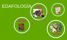 EDAFOLOGIA by on Prezi