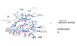 Biology Mind Map(cell membrane) by Gurroop Kalra on Prezi