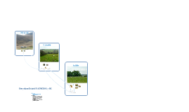 Stratification of UK Sheep Industry by Lisa Pughe on Prezi