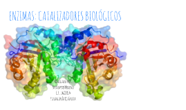 ENZIMAS: CATALIZADORES BIOLÓGICOS by Danimar Moreno on Prezi