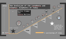 Evolutionary Timeline: Elephant by Kellie T:) on Prezi