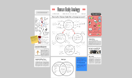 Human Body Analogy by Aarushi Ramesh on Prezi