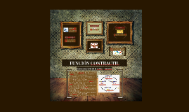 FUNCIÓN CONTRACTIL by Andrea Narváez on Prezi