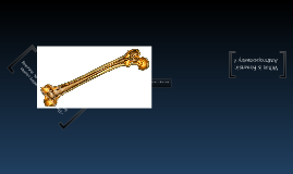 Forensic Anthropometry by Hayden Troiani on Prezi