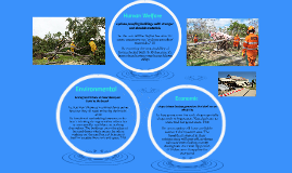 puffer fish life cycle info by claudia sale on Prezi