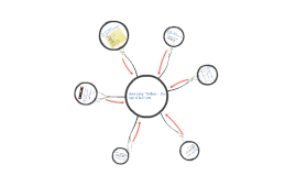 Galea Aponeurotica/Epicranial & Plantar Fascia by Kevin Murray on Prezi