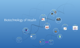 Biotechnology of Insulin by Ryan Duckett on Prezi