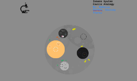 Immune System Castle Analogy by Rebecca Barbee on Prezi