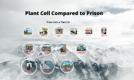Cell Simile Project by Adarius Williams on Prezi