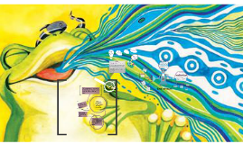 Tiddilick the frog by Danay Hok on Prezi