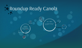 Roundup Ready Canola by Emma Shippen on Prezi