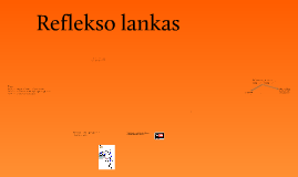 Reflekso lankas by Liveta Navickaitė on Prezi