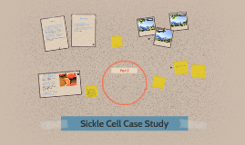 Sickle Cell Case Study by devon grizzle on Prezi