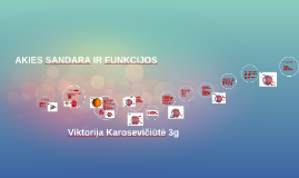 AKIES SANDARA IR FUNKCIJOS by Viktorija Karoseviciute on Prezi