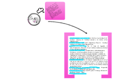 caracteristicas físicas, químicas, biológicas del papel y cartón. by ...