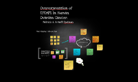 Altricial vs. Precocial Development by patrick hallis on Prezi