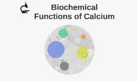Biochemical Functions: CALCIUM by Macy Lopez on Prezi