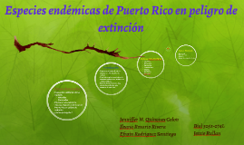 Especies endémicas de Puerto Rico en peligro de extinción by Jenniffer ...