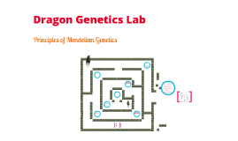 Dragon Genetics Lab: Principles of Mendelian Genetics by Amanda Kern on ...