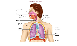 APARATO FONADOR by Berto Naba Abentura on Prezi