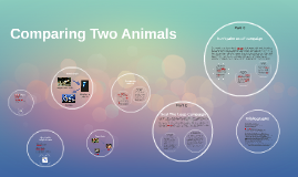 Comparing Two Animals by on Prezi