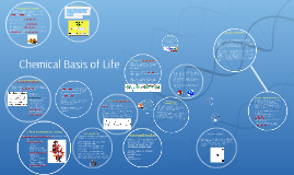 Chemical Basis of Life by Karlie Casavant on Prezi