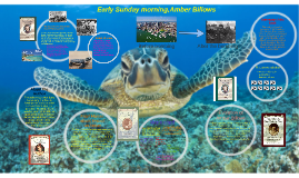 Early Sunday Morning; The Pearl Harbor Diary of Amber Billow by on Prezi