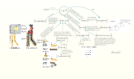 Lipids Concept Map by Kimberly Fievre on Prezi