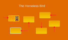 The Homeless bird Summary by paige c on Prezi