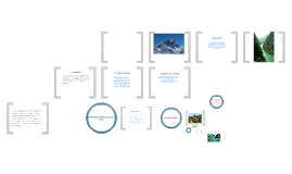 Physical and Human features of China by Meghan Lee on Prezi