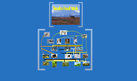Tundra Food Web by Marshall Henke on Prezi
