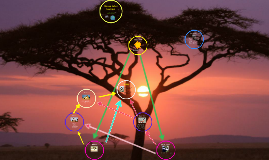 African Safari Food Web by Katelynne Darbee on Prezi