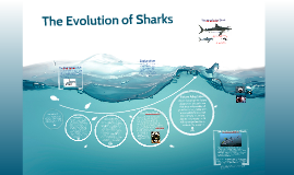Evolution of Sharks by Gabriel Huezo on Prezi