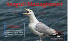 SWOT presentation of the North Face Brand by Cédric Druais on Prezi