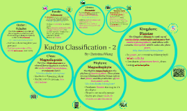 Kudzu Classification by Christina Wang on Prezi